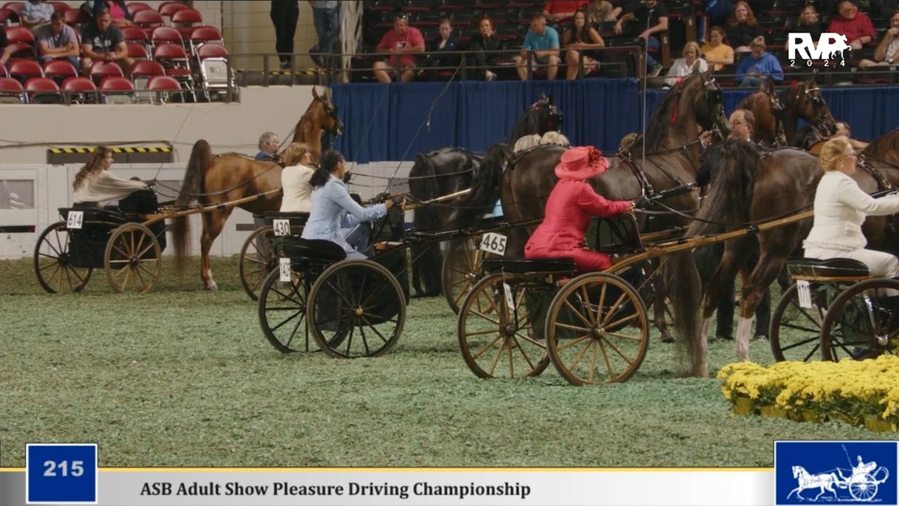 WCHS24 - Class 215 - ASB Adult Show Pleasure Driving Championship ...