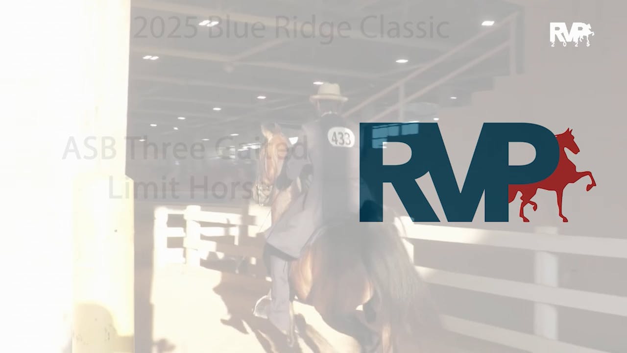 BRC25 - Class 133 - ASB Three Gaited Limit Horse - 2025 - Richfield ...