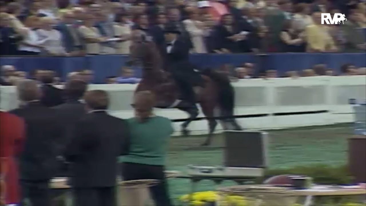 2000 WCHS Class 225 Five Gaited Grand Championship - Richfield Video ...