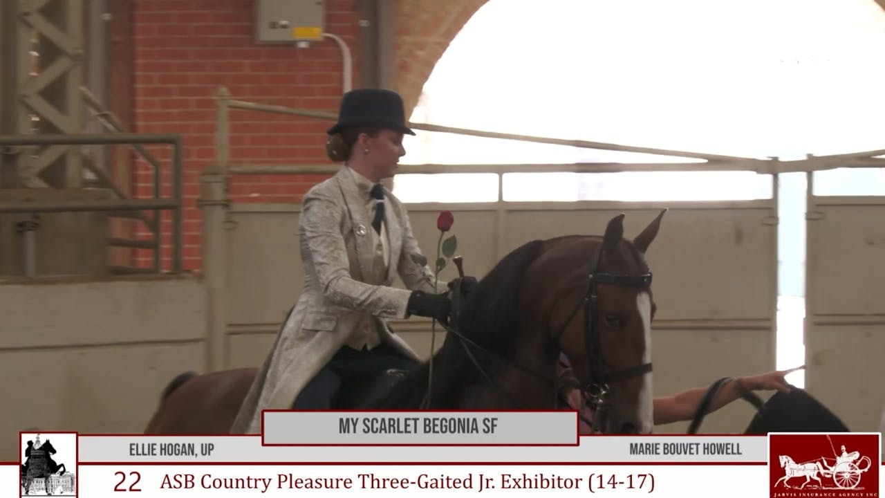 MW25 - Class 22 - My Scarlet Begonia SF and Ellie Hogan, UP - Richfield ...