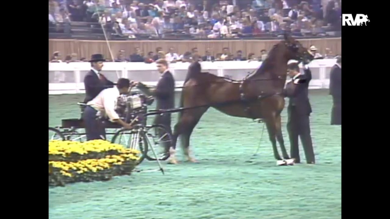 1989 WCHS Class 157 Fine Harness Championship - Richfield Video Archive