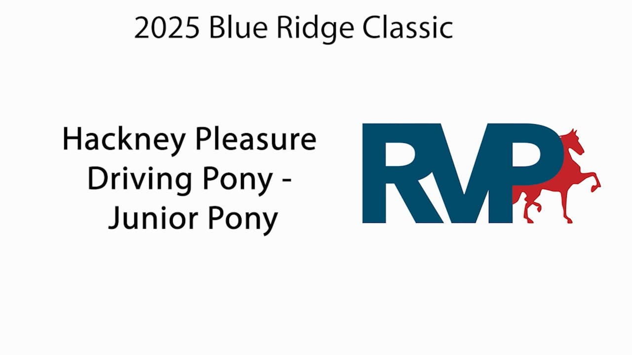 BRC25 - Class 98 - Hackney Pleasure Driving Pony - Junior Pony ...