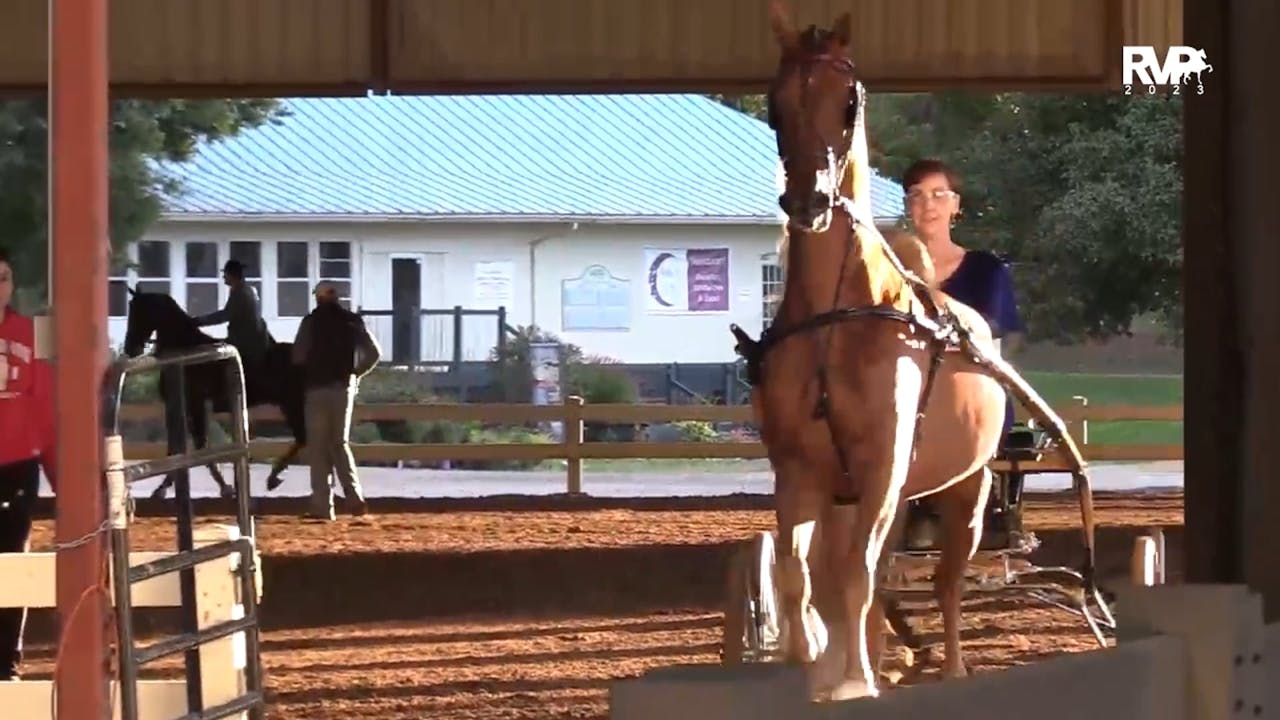 NCSC23 - Class 134 - China Grove and June Davis, Whip - Richfield Video ...