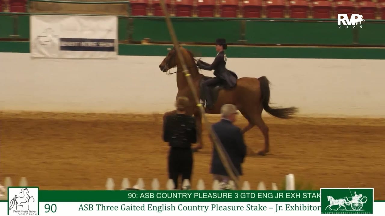 RSP25 - Class 90 - ASB Three Gaited English Country Pleasure Stake Jr ...
