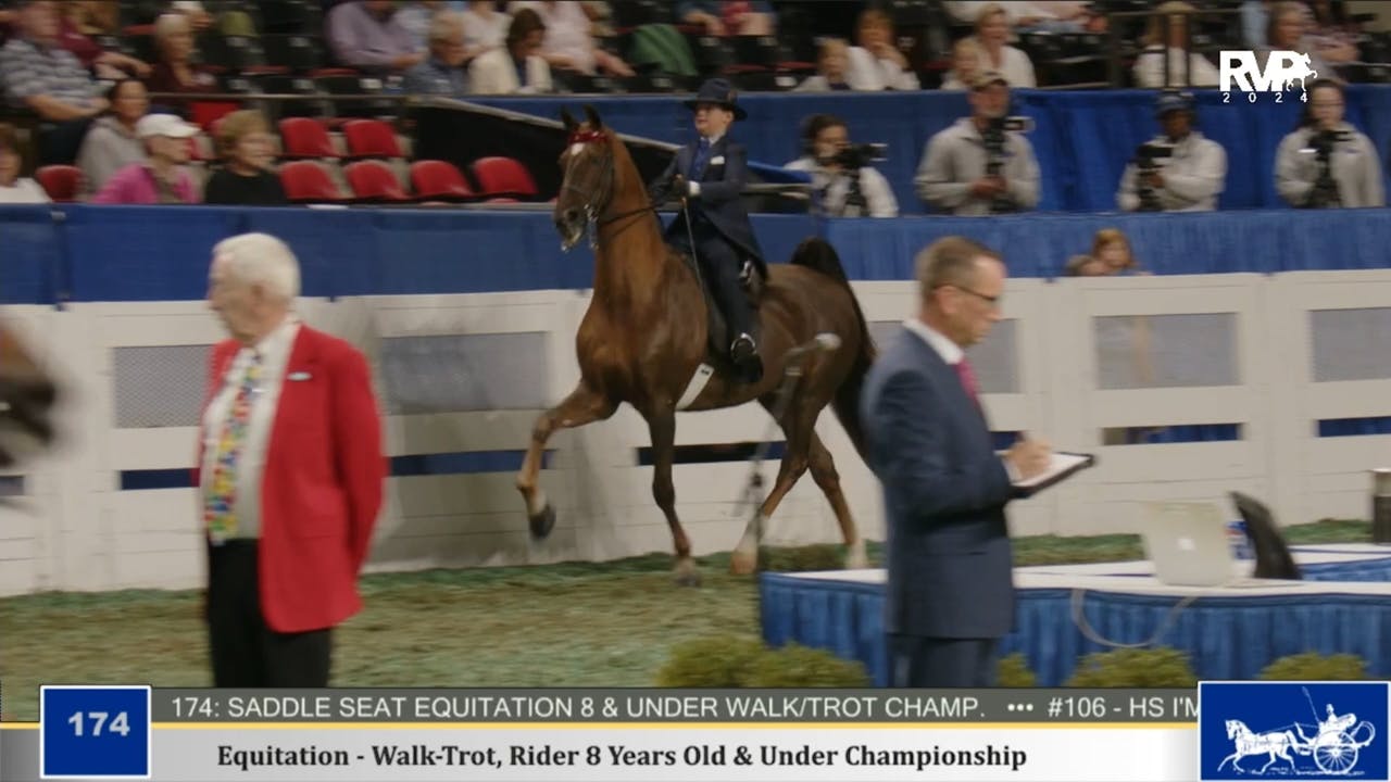 WCHS24 - Class 173 - Stella Keith, Up and Seven Oaks Heir Show ...