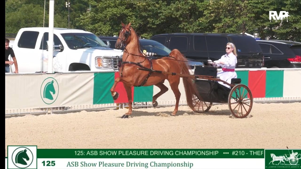 LJL24 - Class 125 - ASB Show Pleasure Driving Championship - 2024 ...