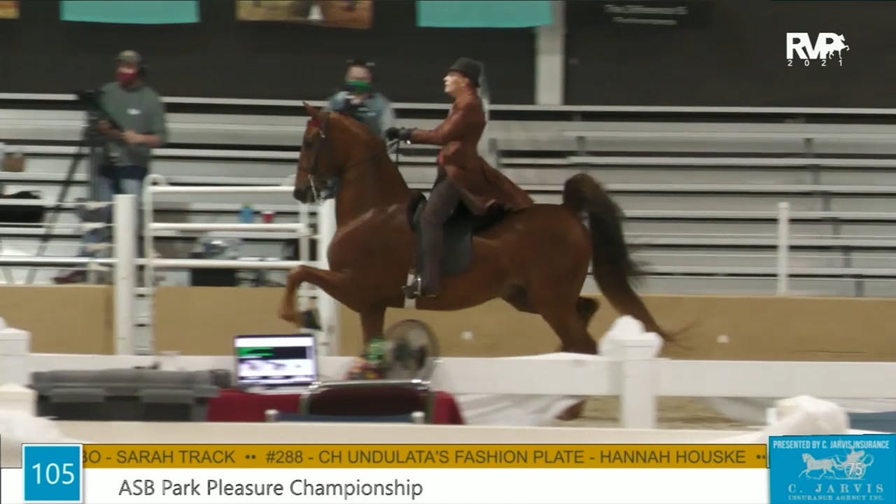 BS21 - Class 105 - ASB Park Pleasure Championship - Richfield Video Archive