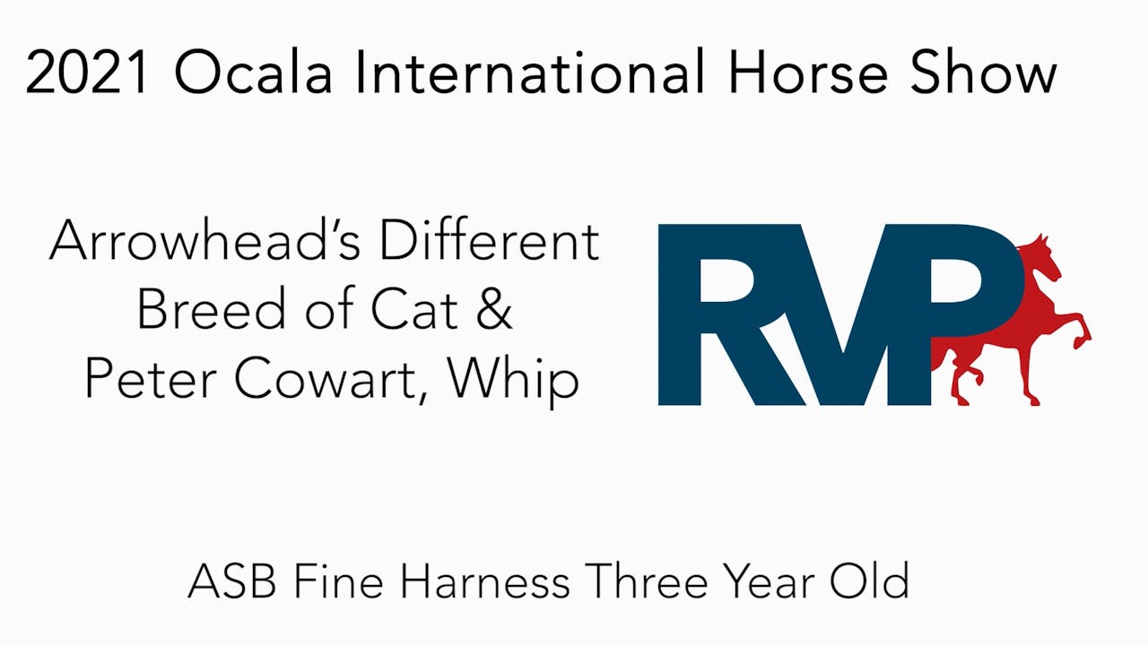 OIHS21 - Class 39 - Arrowhead’s Different Breed of Cat & Peter Cowart ...