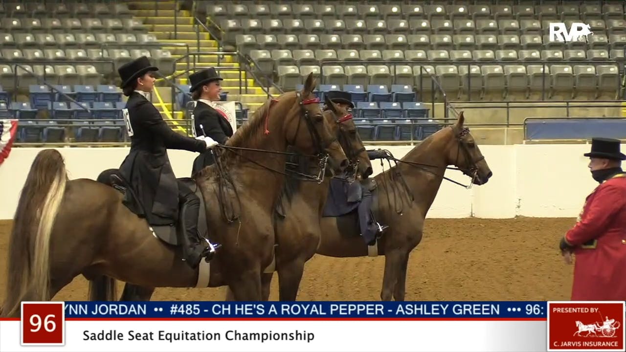 ASHAV 2020 - Class 96 Saddle Seat Equitation Championship - Richfield Video Archive