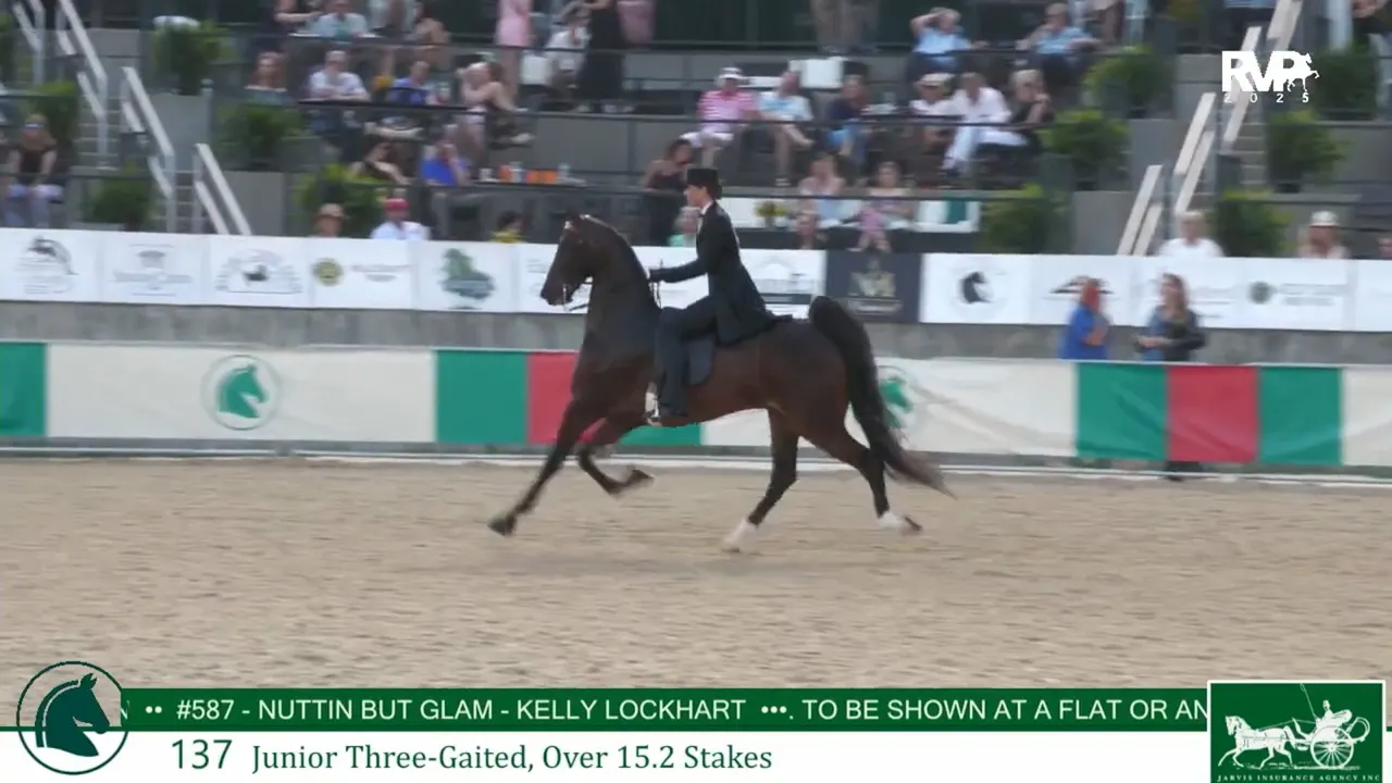 LJL25 - Class 137 - Junior Three Gaited Over 15.2 Stake - 2025 ...