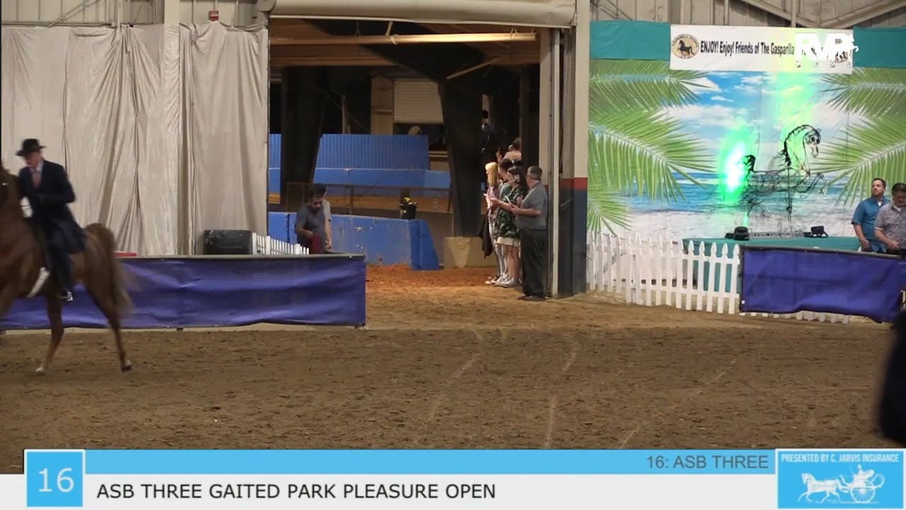 GASP23 - Class 16 - ASB Three Gaited Park Pleasure Open - Richfield ...