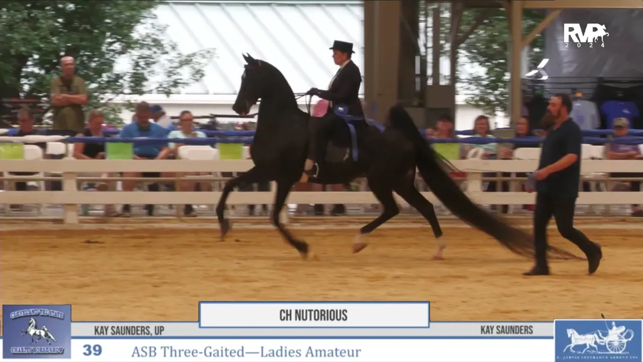 CTSC24 - Class 39 - CH Nutorious and Kay Saunders, up - Richfield Video ...