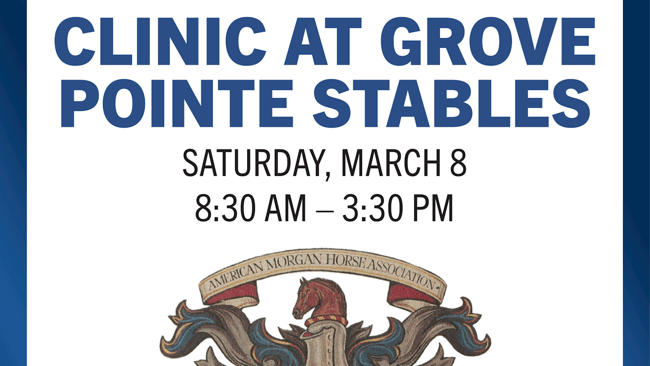 2025 AMHA Clinic at Grove Pointe Stables - 03/08/2025, 20:22:23 ...