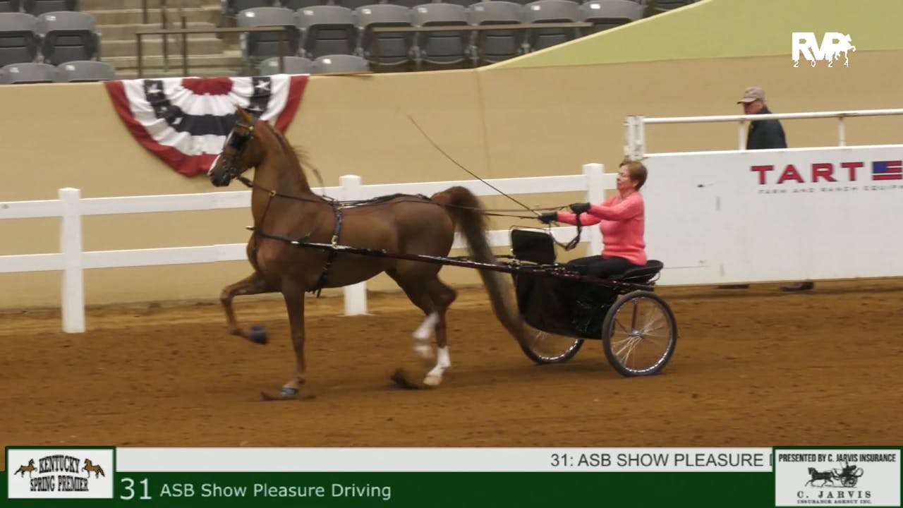 KYSP24 - Class 31 - ASB Show Pleasure Driving - Richfield Video Archive