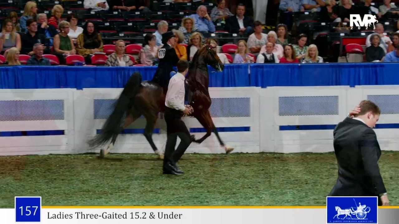 WCHS23 - Class 157 - Sedgefield's Best Story Ever and Misdee Wrigley ...