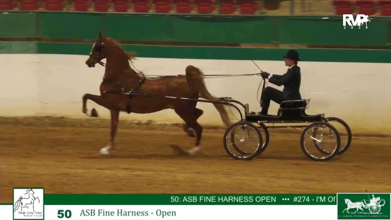 RSP24 - Class 50 - ASB Fine Harness Open - Richfield Video Archive