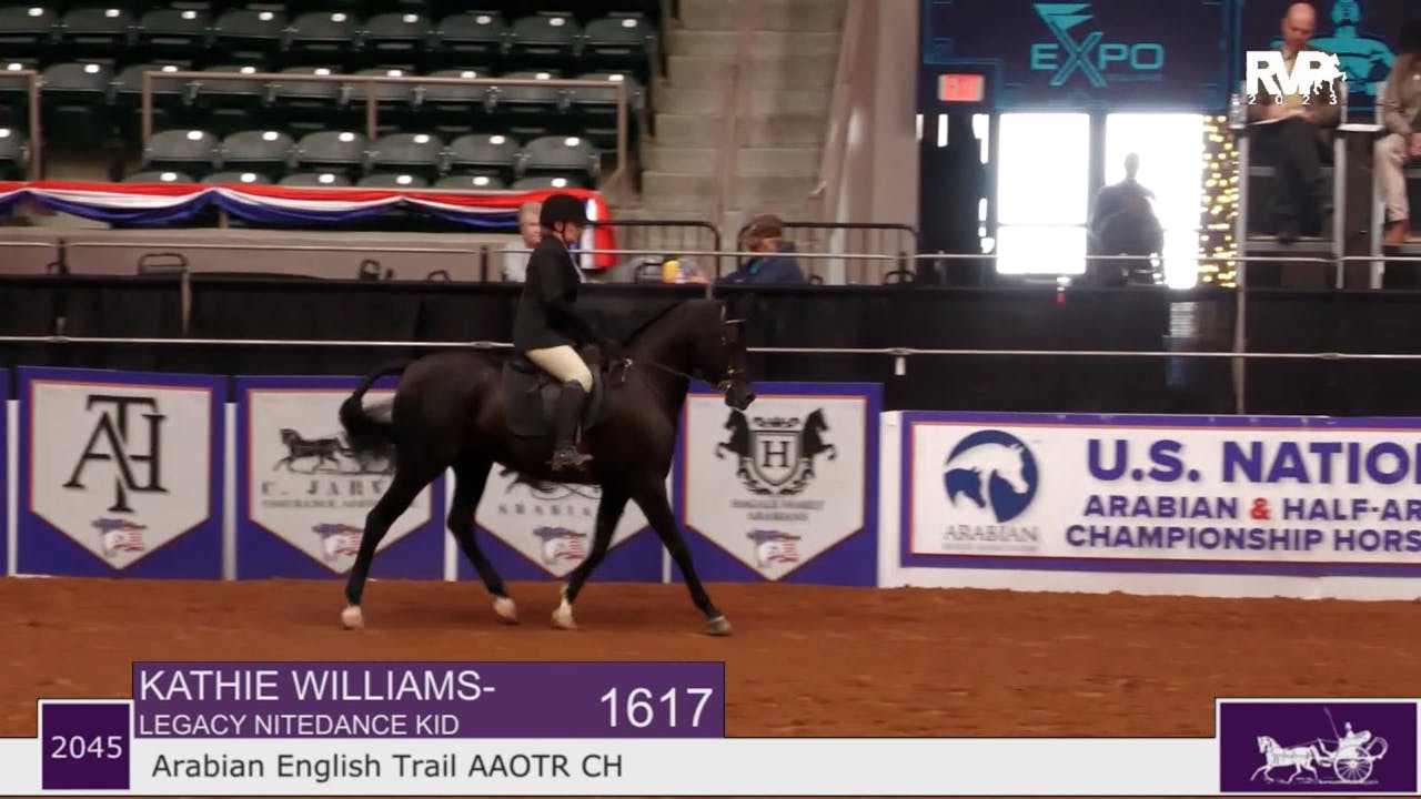 AN23 - Class 2045 - Arabian English Trail AAOTR CH - Richfield Video ...