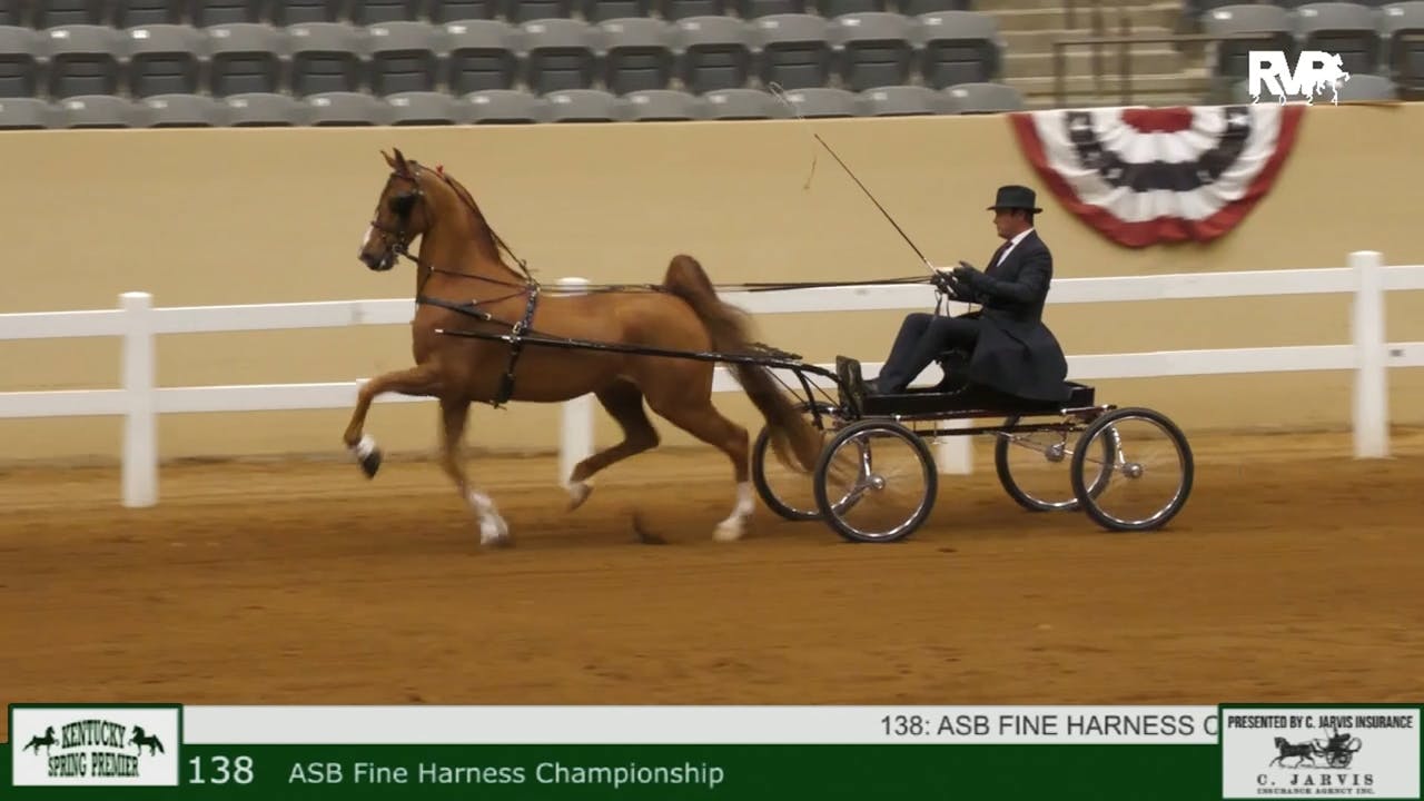 KYSP24 - Class 138 - ASB Fine Harness Championship - Richfield Video ...
