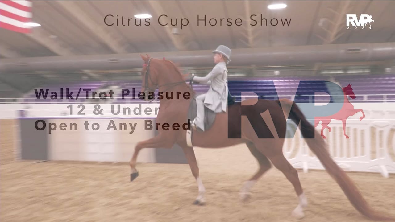 CC24 - Class 77 - Walk-Trot Pleasure 12 & Under Open to Any Breed ...
