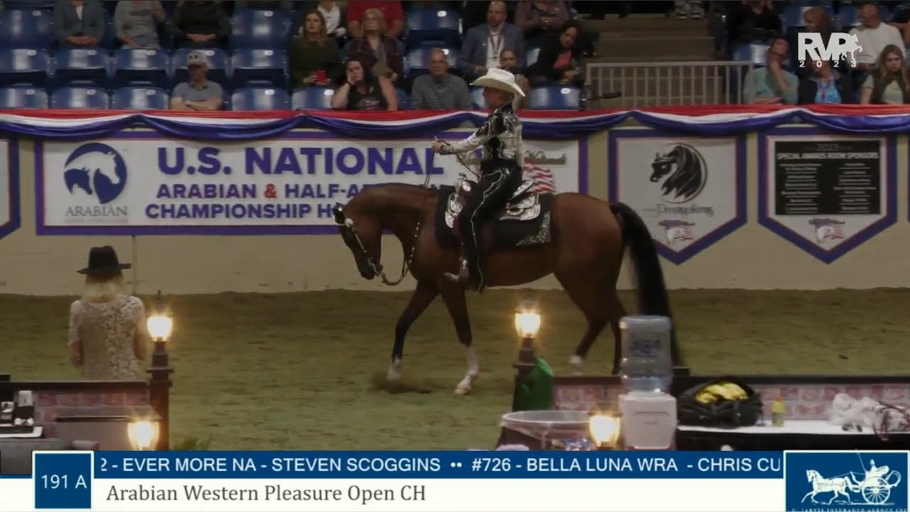 AN23 - Class 191 - Arabian Western Pleasure Open CH - Section A ...