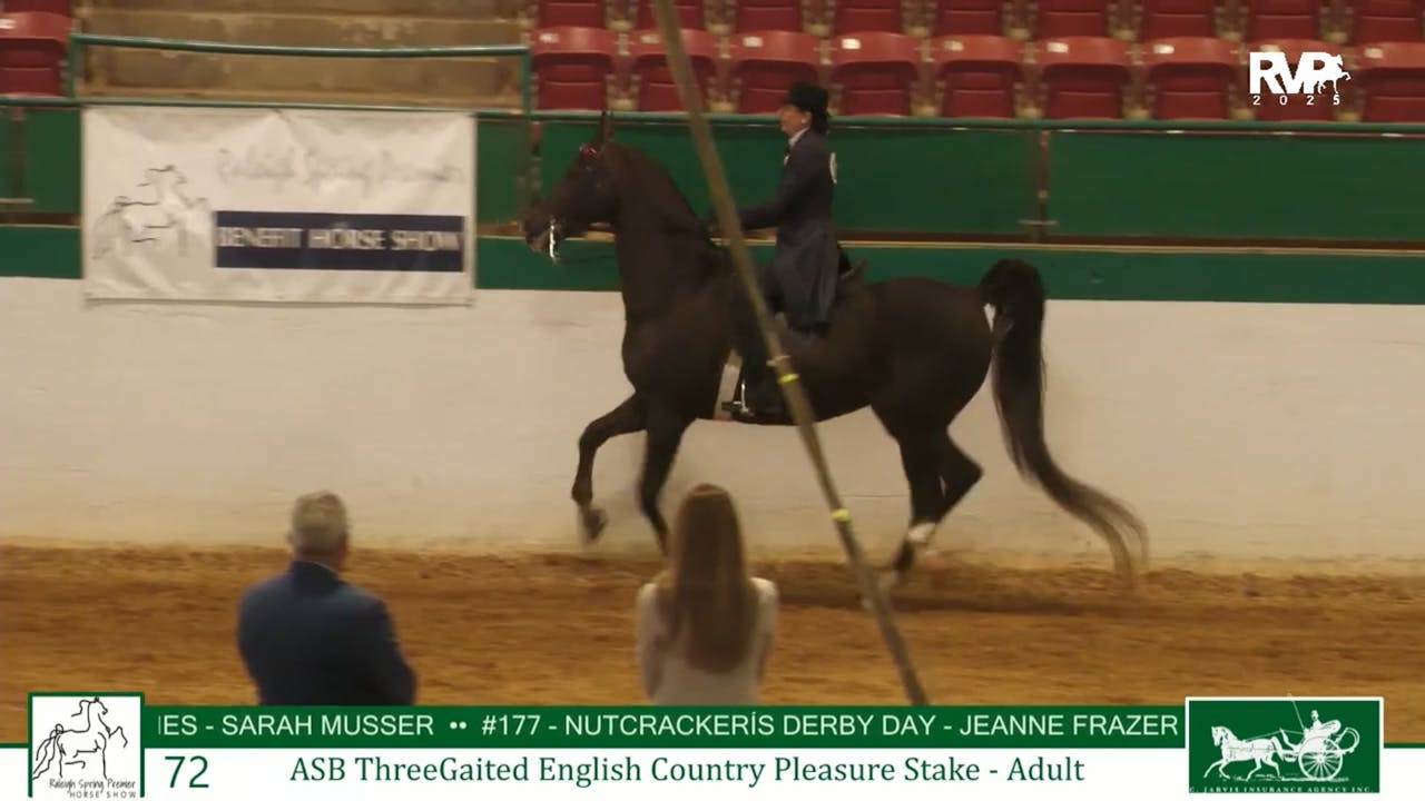 RSP25 - Class 72 - ASB Three Gaited English Country Pleasure Stake ...