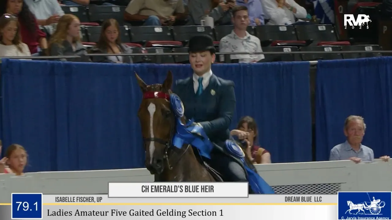 WCHS25 - Class 79.1 - CH Emerald's Blue Heir and Isabelle Fischer, UP ...