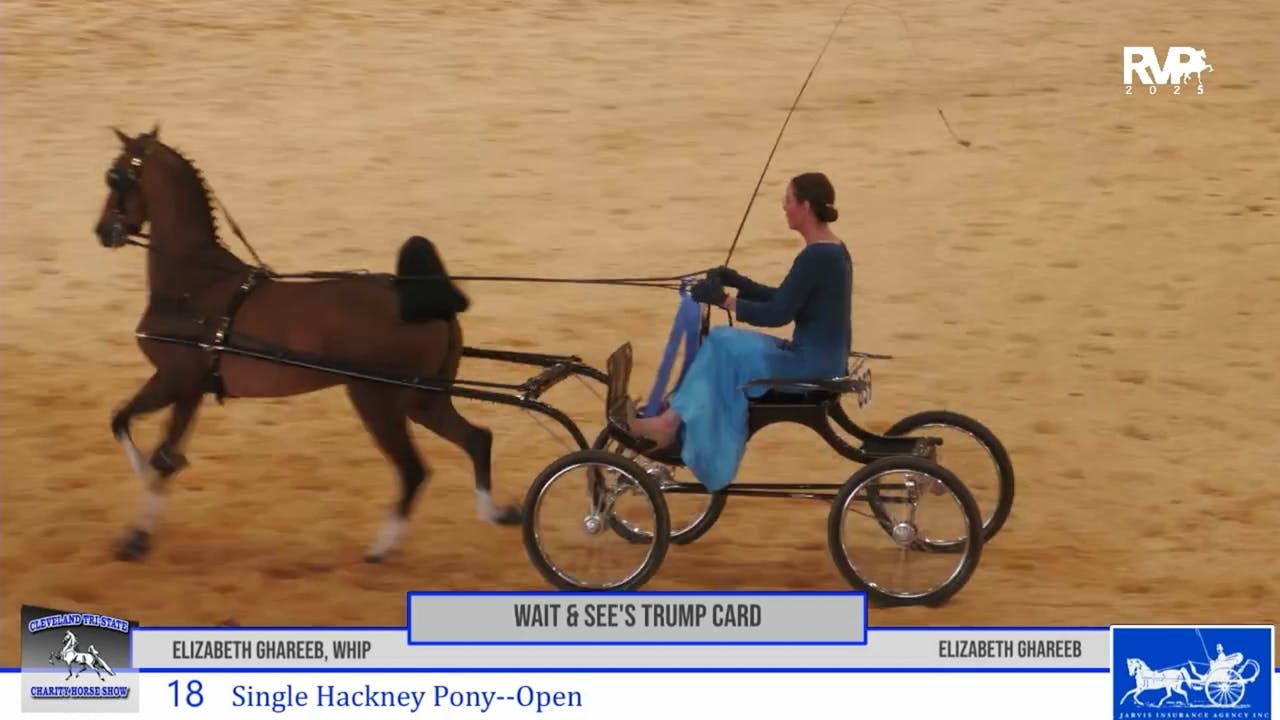 CTS25 - Class 18 - Wait & See's Trump Card and Elizabeth Ghareeb, Whip ...