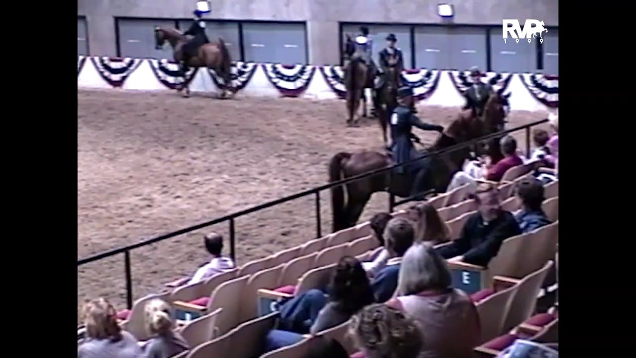 1999 Wisconsin Futurity - Three Gaited Show Pleasure Junior Horse ...