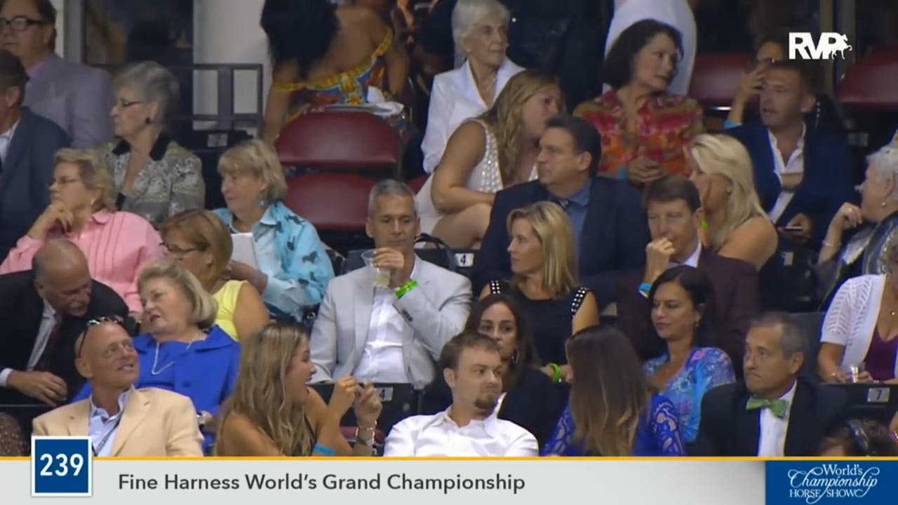 2016 WCHS - Class 239 Fine Harness World's Grand Championship ...