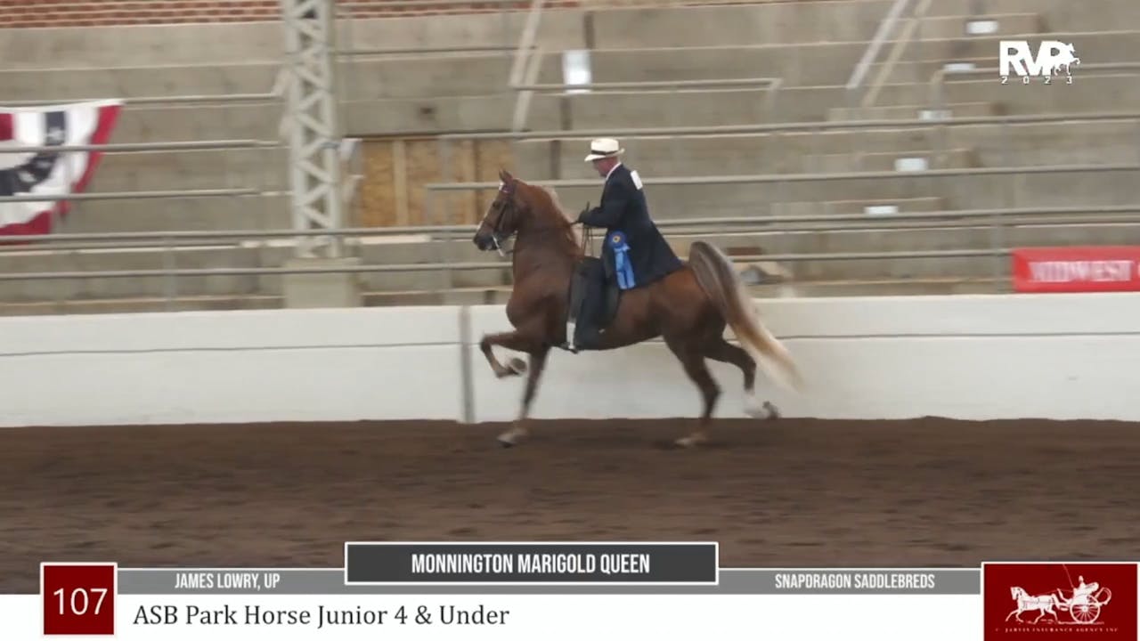 MW23 - Class 107 - Monnington Marigold Queen and Jim Lowry, up ...