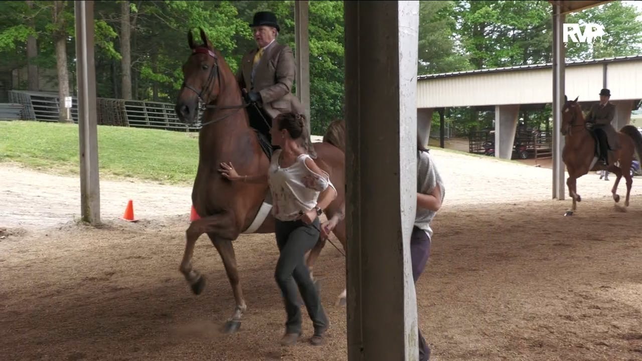 ASC24 - Class 22 - ASB Three Giated Country Pleasure - Masters - Richfield Video Archive