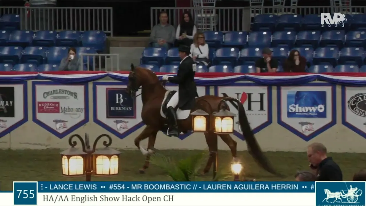 AN23 - Class 755 - HA-AA English Show Hack Open CH- Section A ...