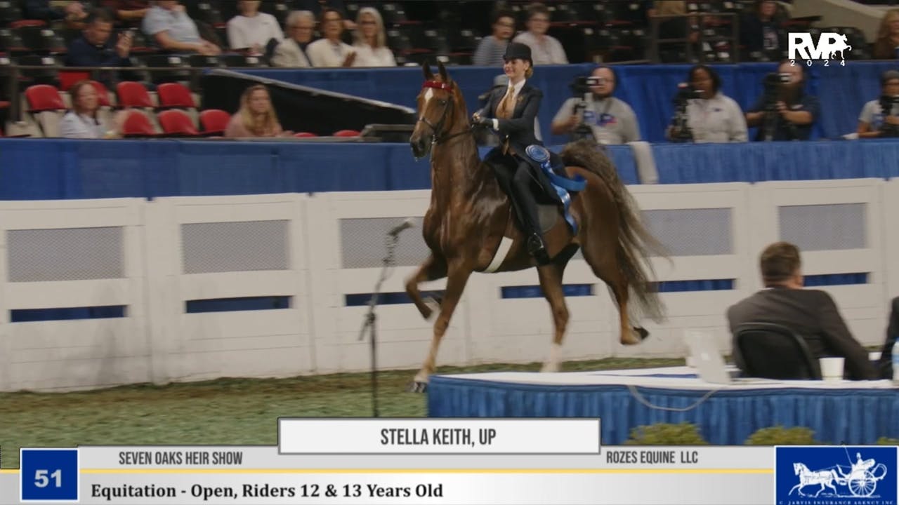 WCHS24 - Class 51 - Stella Keith, Up and Seven Oaks Heir Show ...