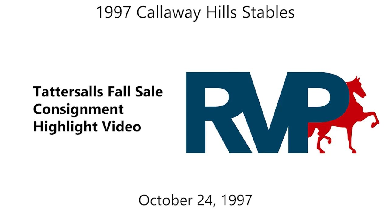 1997 Callaway Hills Stables - Tattersalls Fall Sale Consignment ...
