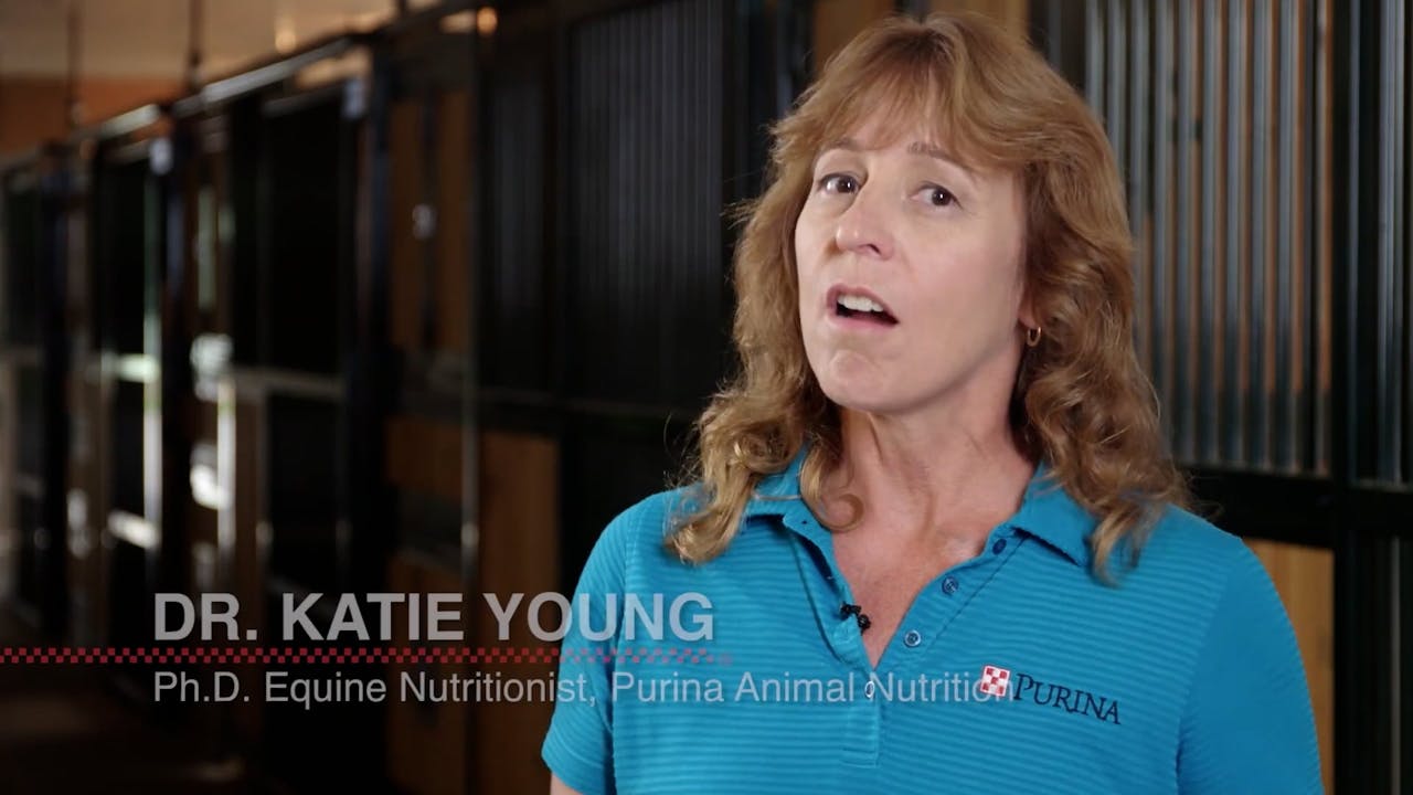 Purina Body Condition Scoring Tips - 30 - RIDE TV