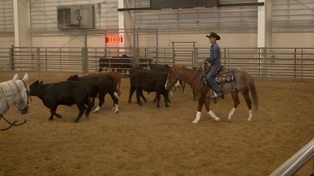 Eliminating and Choosing a Cow - Ranch Versatility - RIDE TV