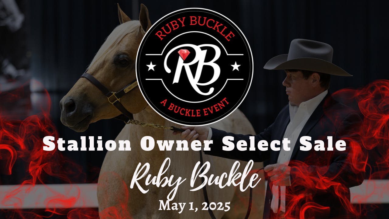 2025 Ruby Buckle Stallion Owner Select Sale | Ruby Buckle Central | 5/1 ...