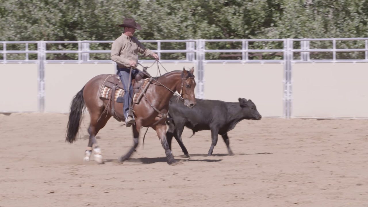 Common Mistakes When Working a Cow - RIDE TV