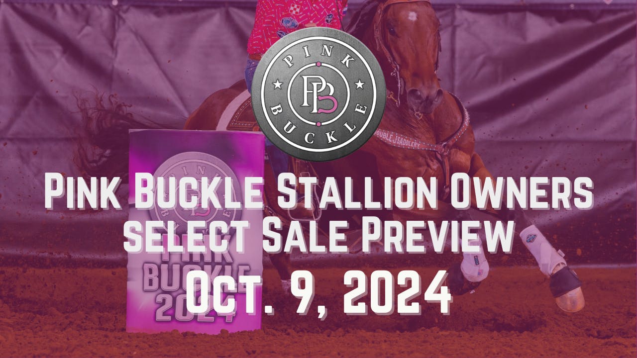 Pink Buckle Stallion Owners Select Sale Preview | Lazy E Arena ...