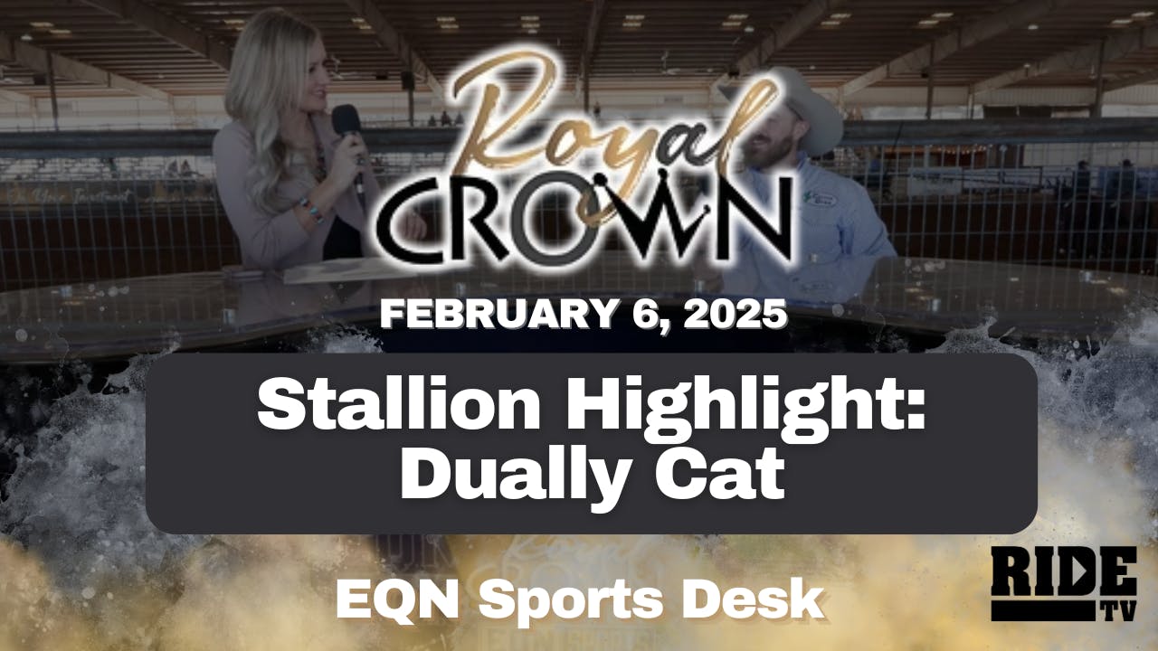 Stallion Highlight: Dually Cat | Royal Crown Futurity | February 6 ...
