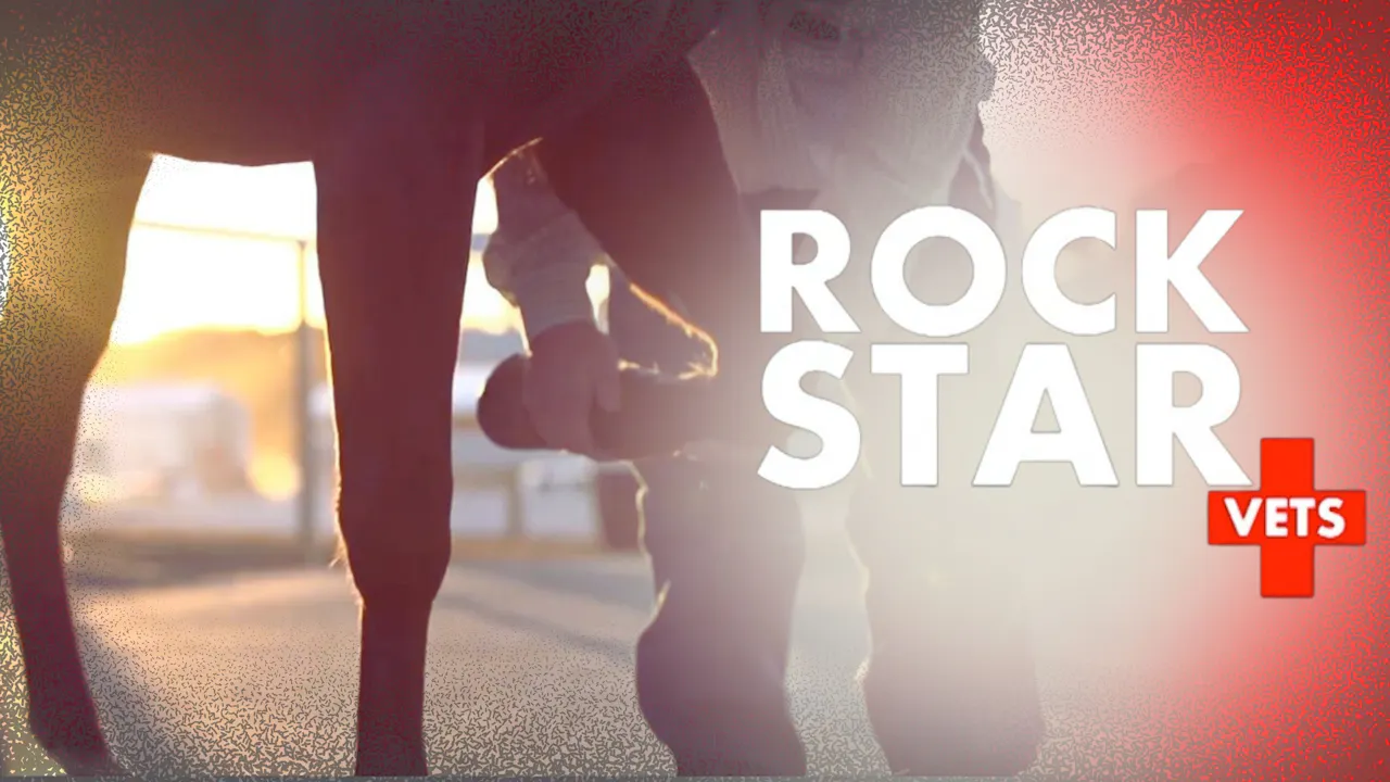 Rock Star Vets - RIDE TV