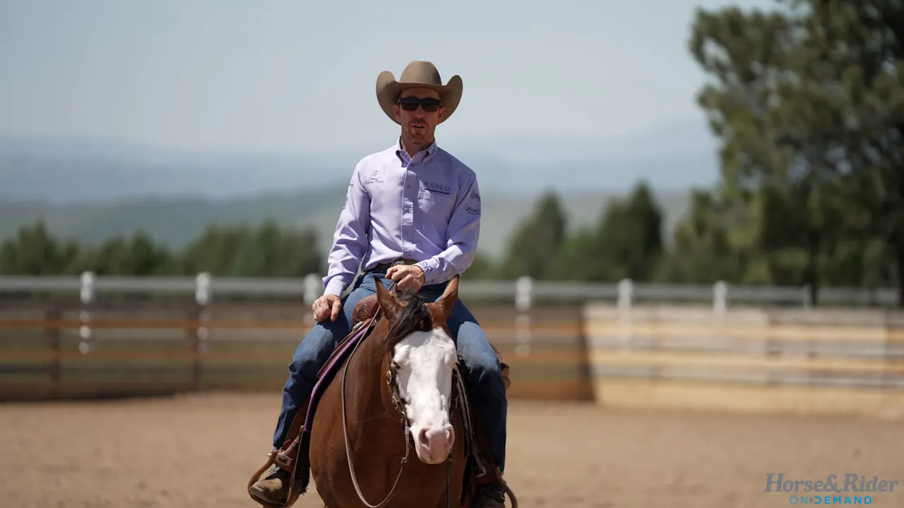 Building a Powerful Stop - Build the Pattern: Reining Fundamentals to ...