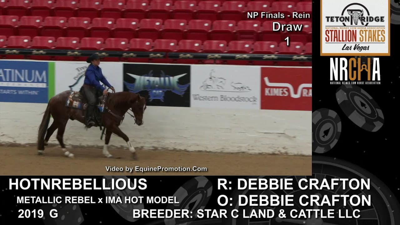 Non Pro Rein Work Finals | 2023 Teton Ridge NRCHA Stallion Stakes ...