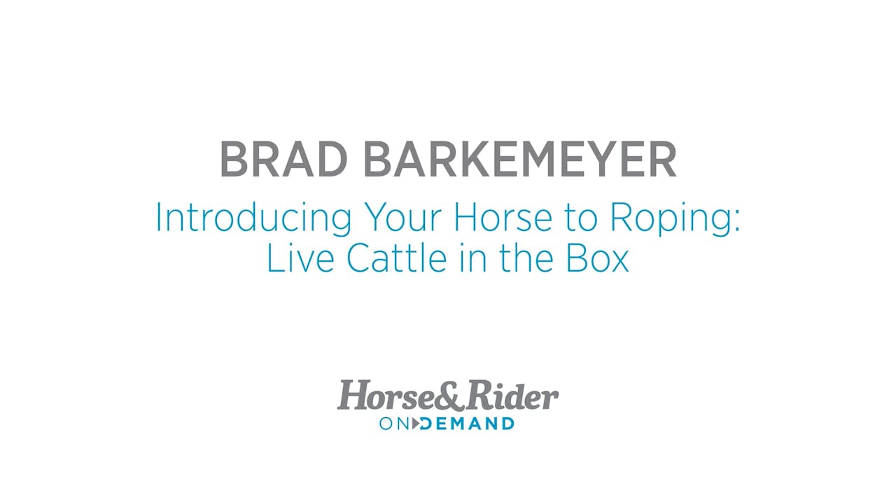 Introducing Horse to Roping: Live Cattle in the Box - RIDE TV