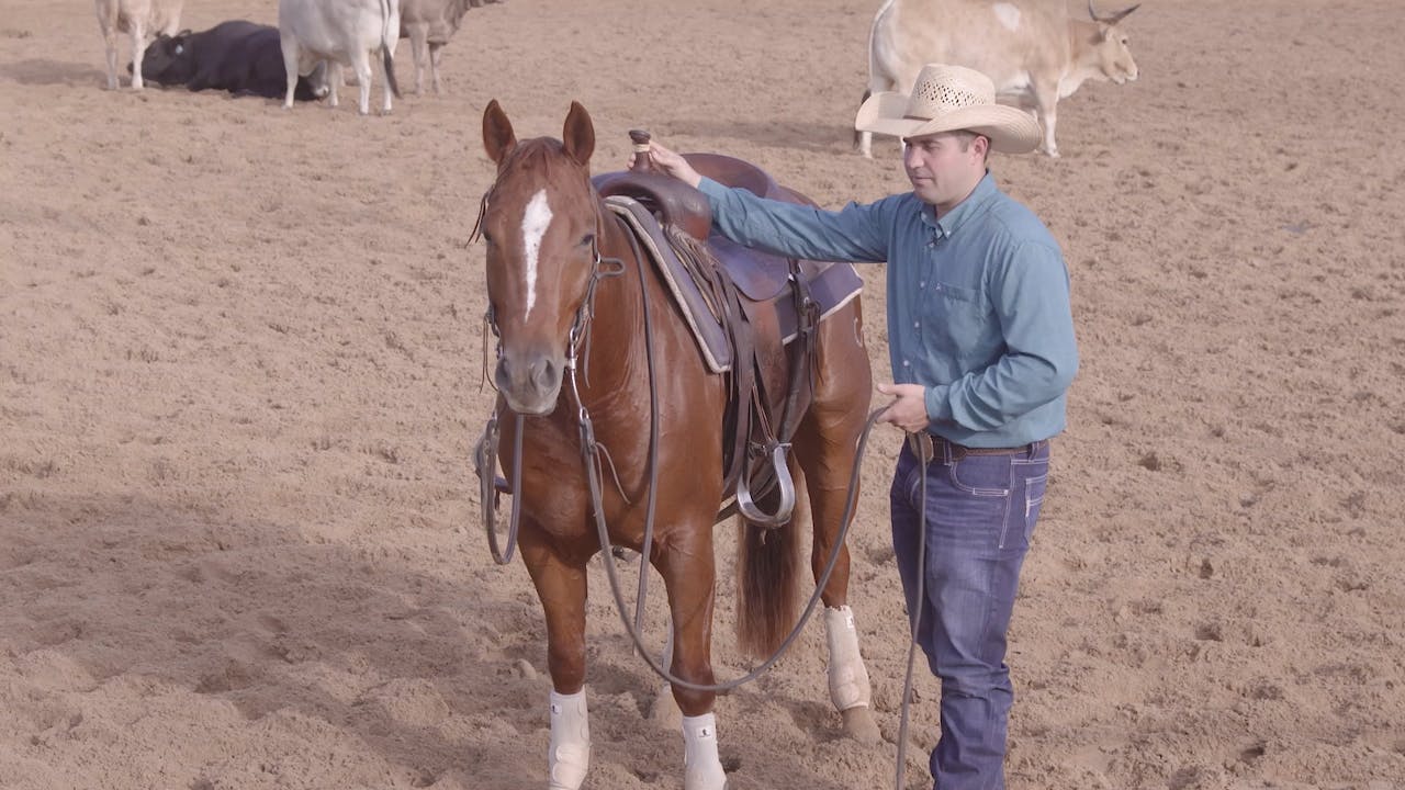Adjusting Tack for Cutting - RIDE TV