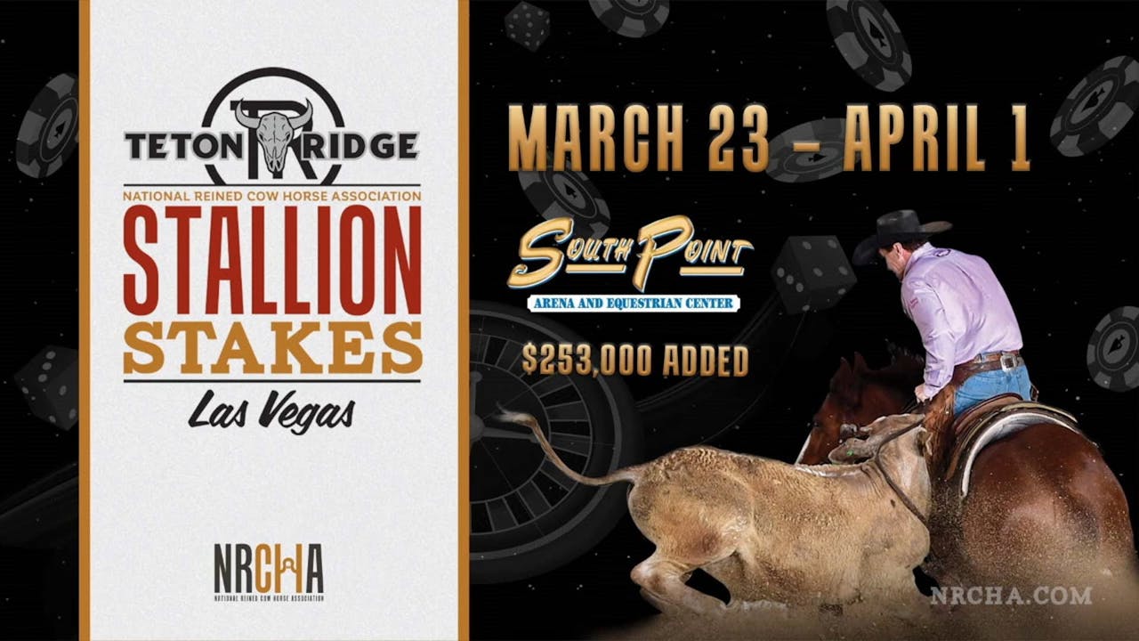 Open Rein Work Finals | 2023 Teton Ridge NRCHA Stallion Stakes ...