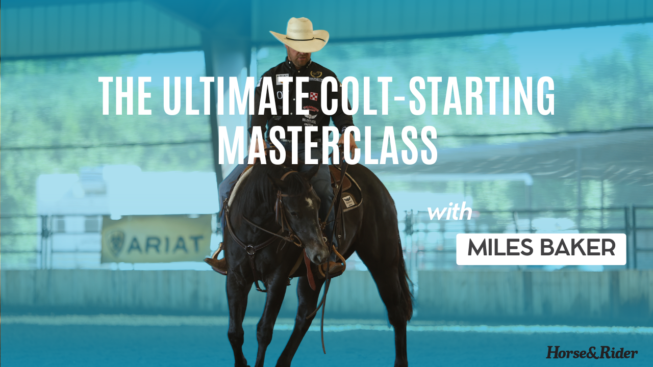 The Ultimate Colt-Starting Series - RIDE TV