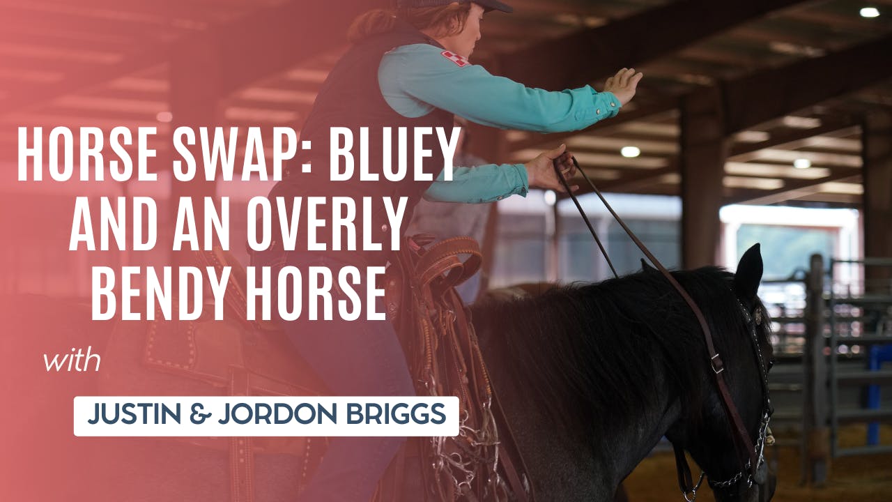 Horse Swap: Bluey and an Overly Bendy Horse - RIDE TV