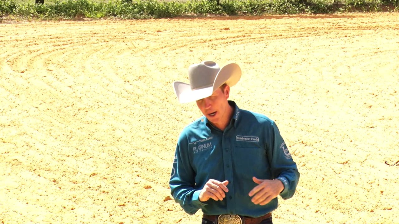 Rein Length During an Extension - RIDE TV