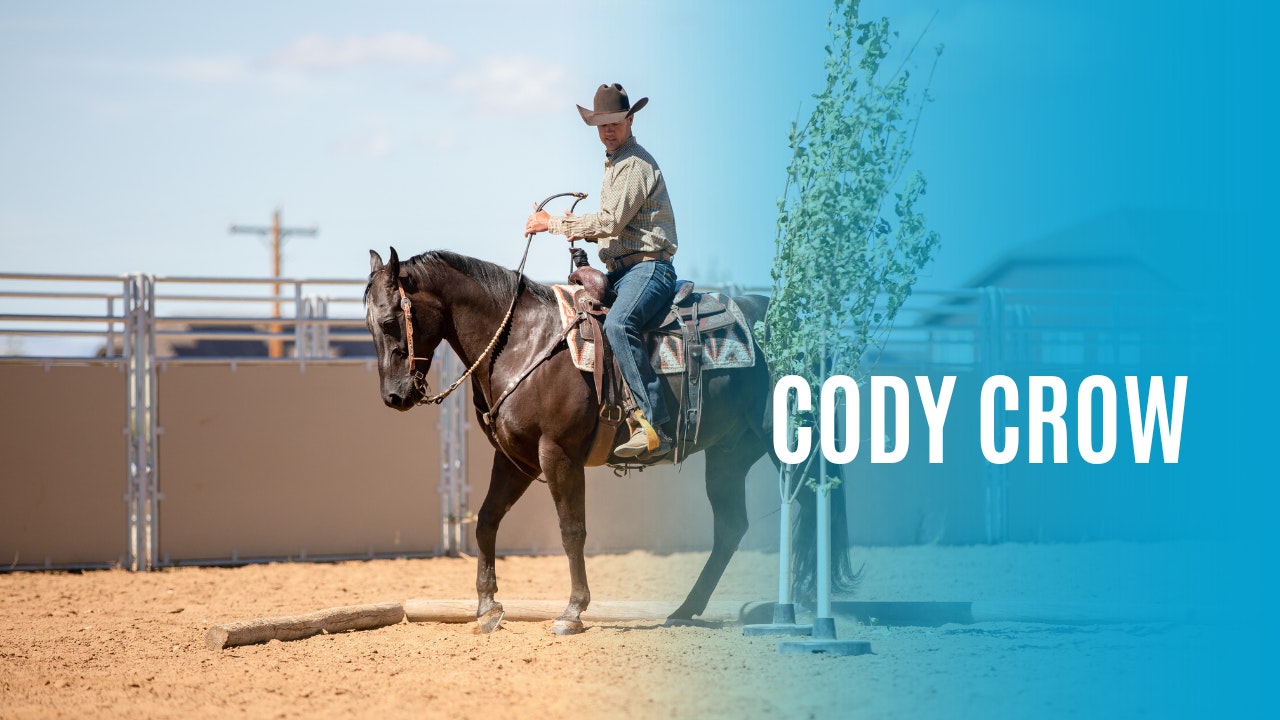 Cody Crow Ride Tv